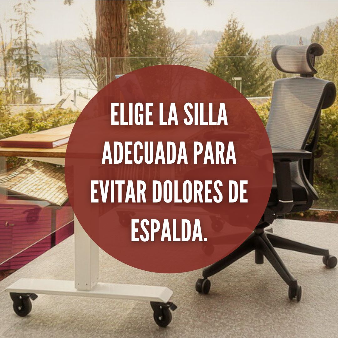 Cómo evitar el dolor de espalda al trabajar o estudiar